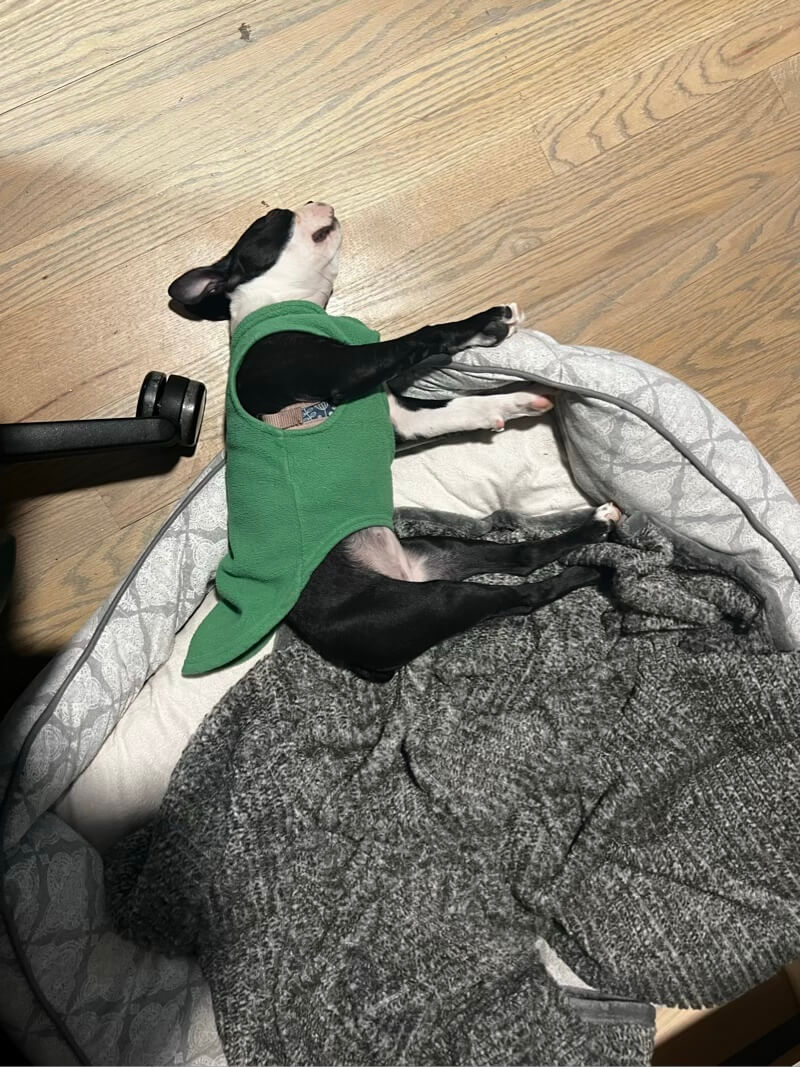 It’s a good thing I decided to look behind me – JTOK Chatter