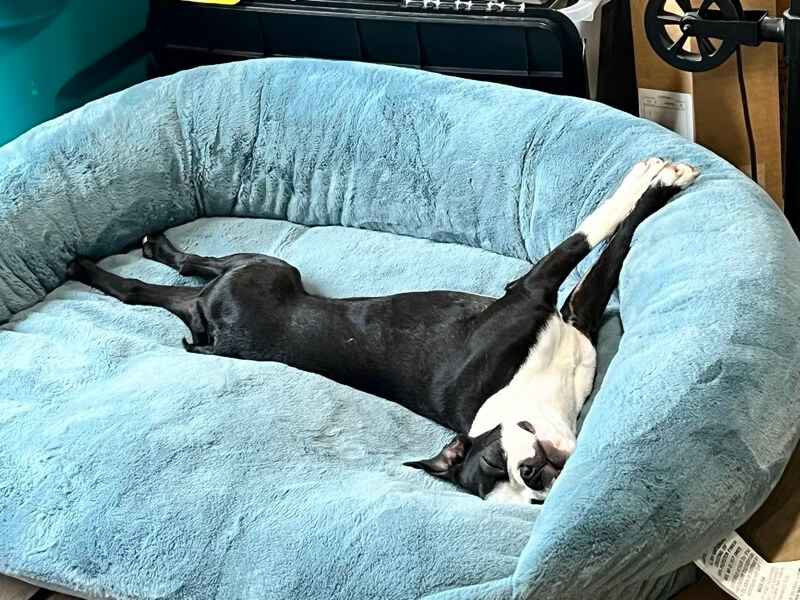 More long Ivy – JTOK Chatter