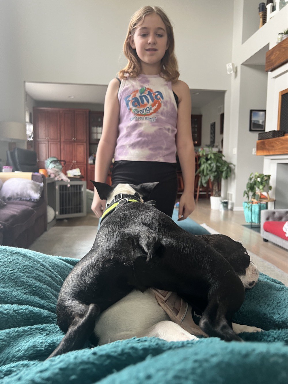 OMG Ivy really?! – JTOK Chatter