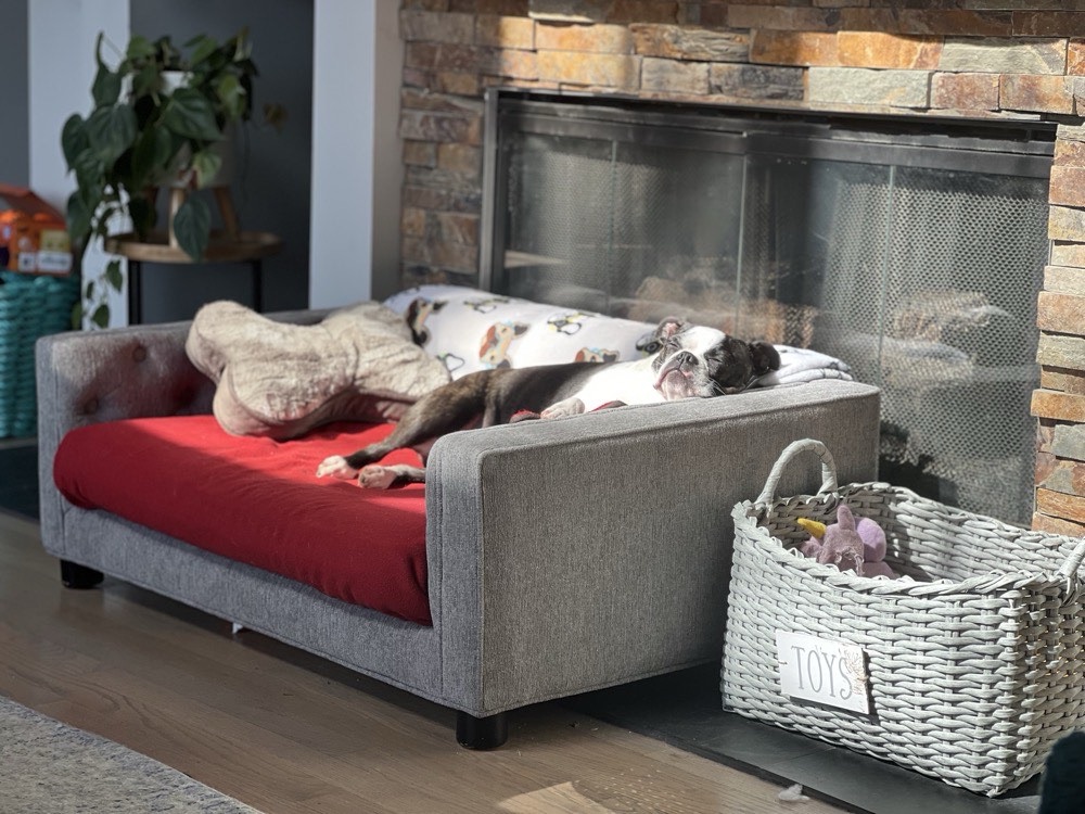 Queen Olive – JTOK Chatter